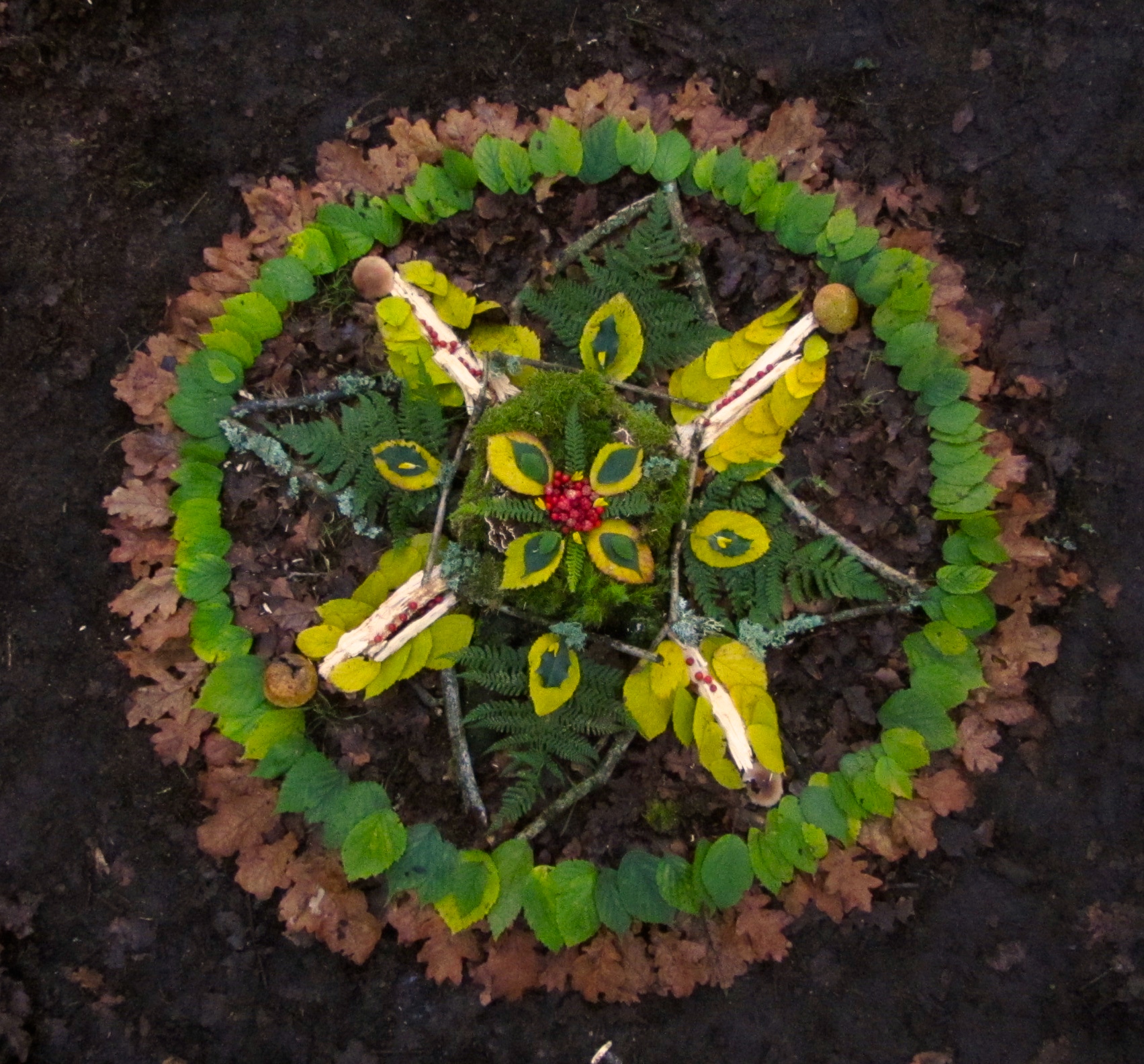The Art of Nature Mandalas – The Muse in the Mirror
