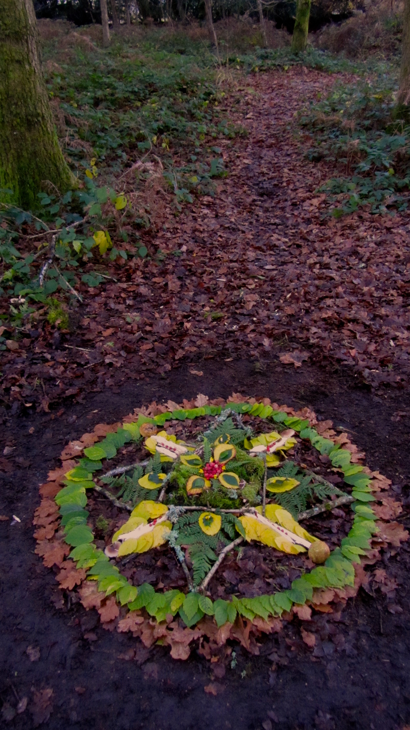 The Art of Nature Mandalas – The Muse in the Mirror