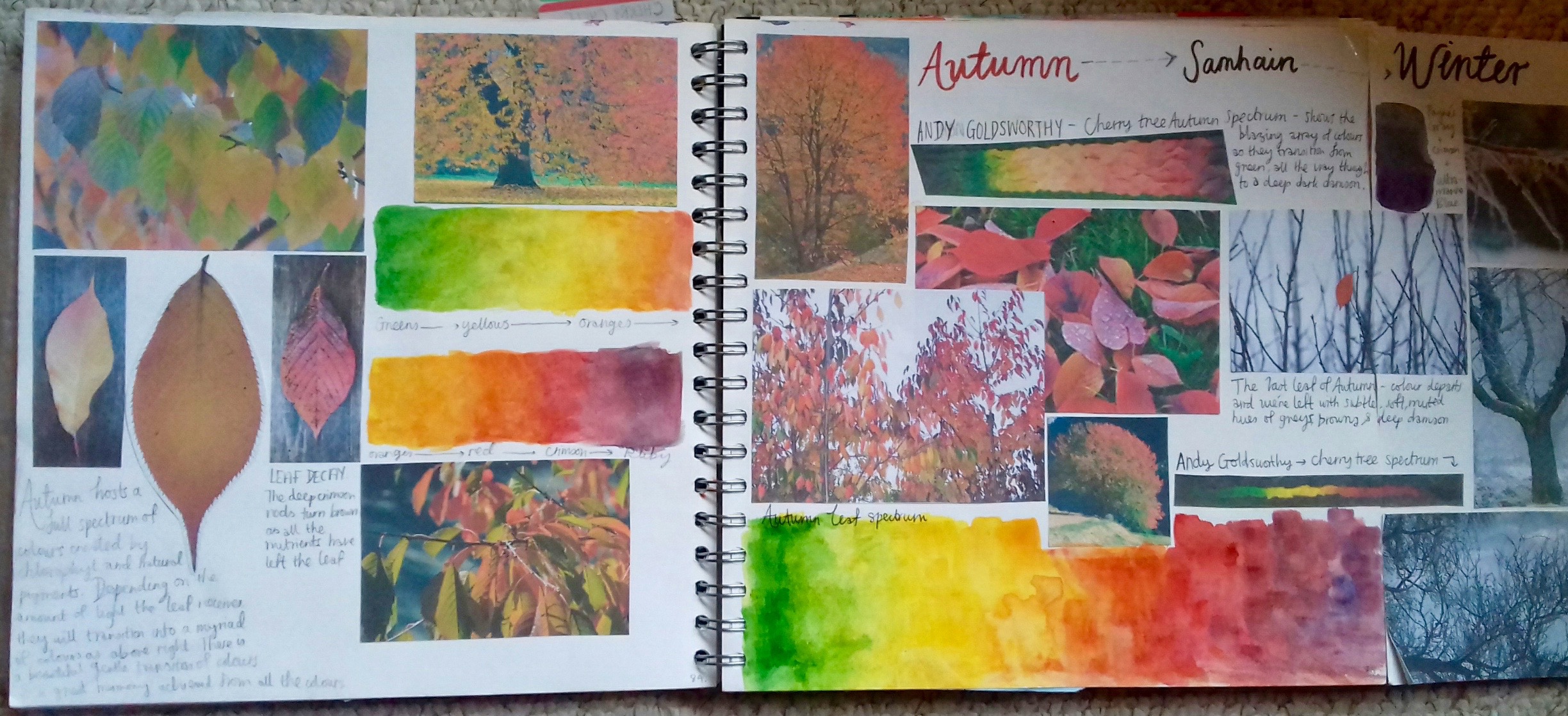 The Art of Autumn ~ Getting Creative out in Nature – The Muse in the Mirror