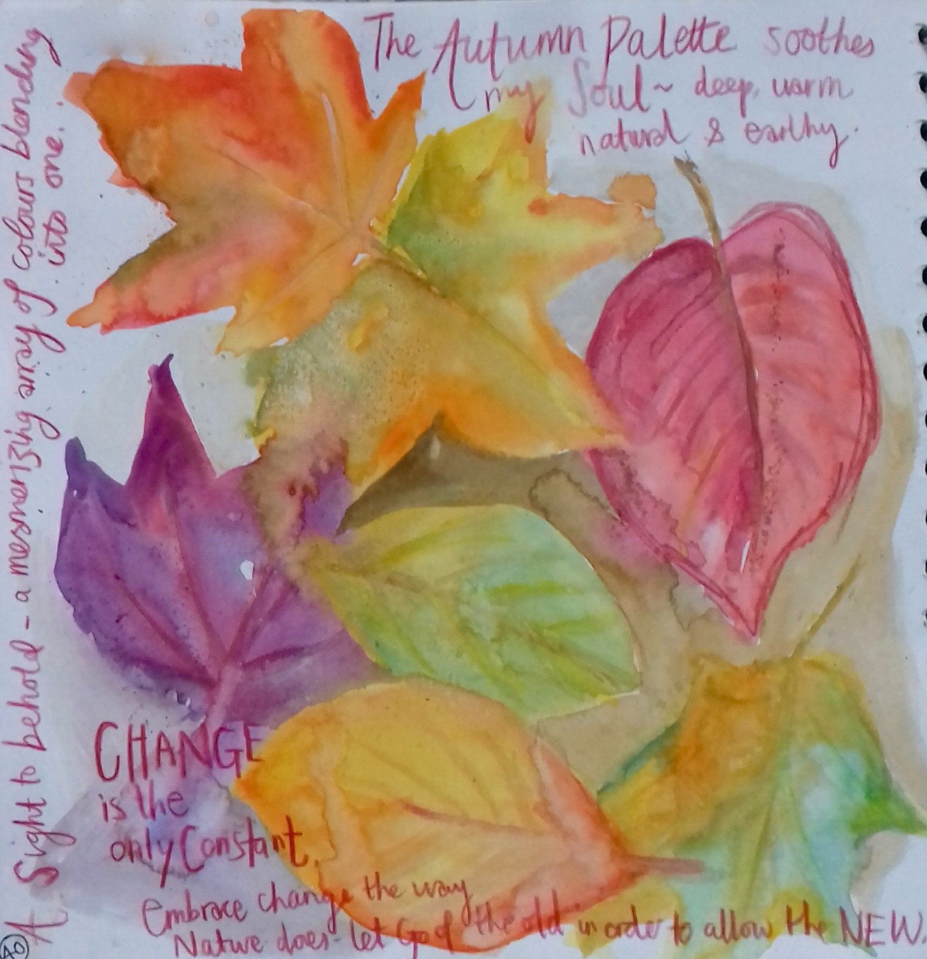 The Art of Autumn ~ Getting Creative out in Nature – The Muse in the Mirror