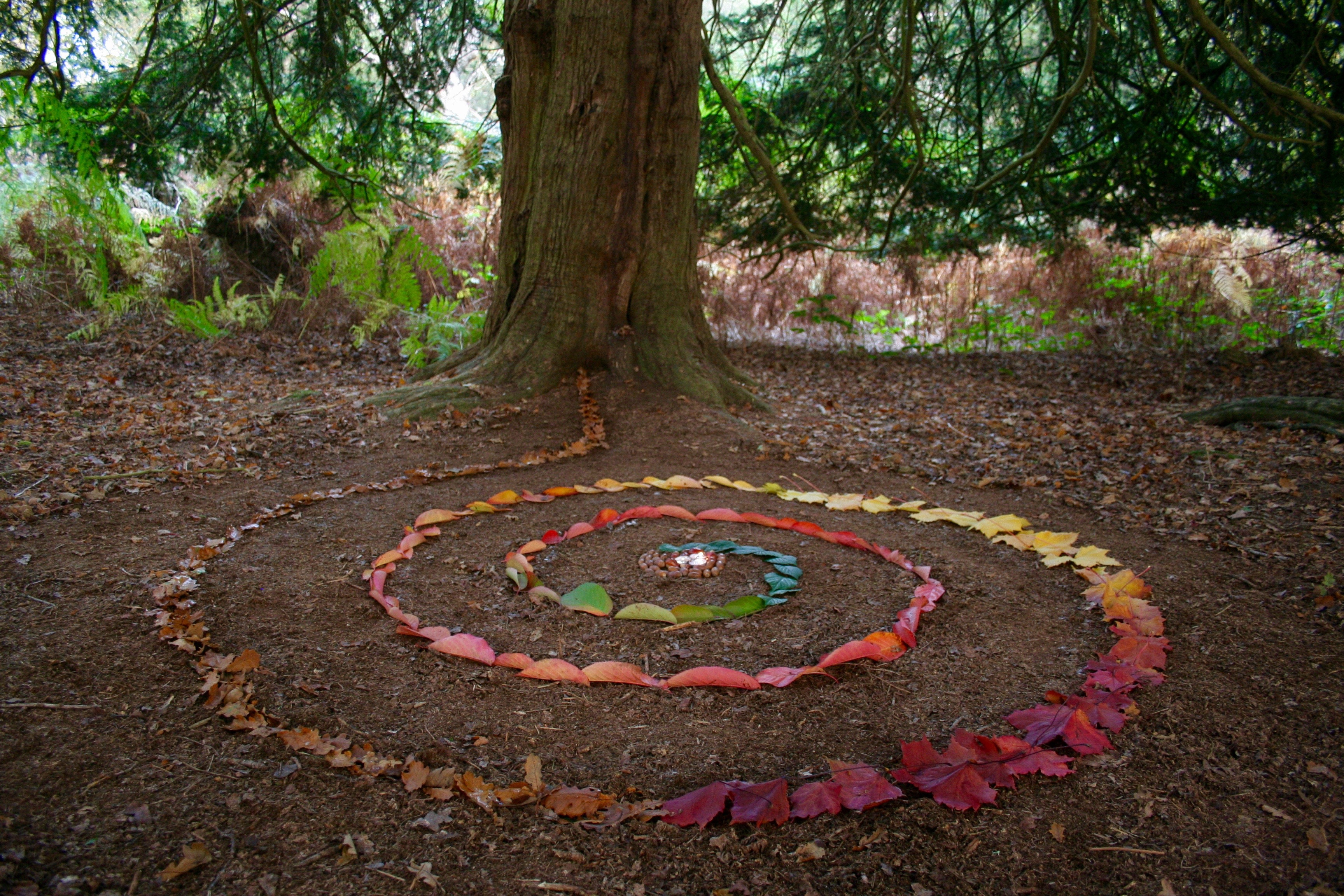 Samhain Celebrations ~ Nature Spiral Ritual – The Muse in the Mirror